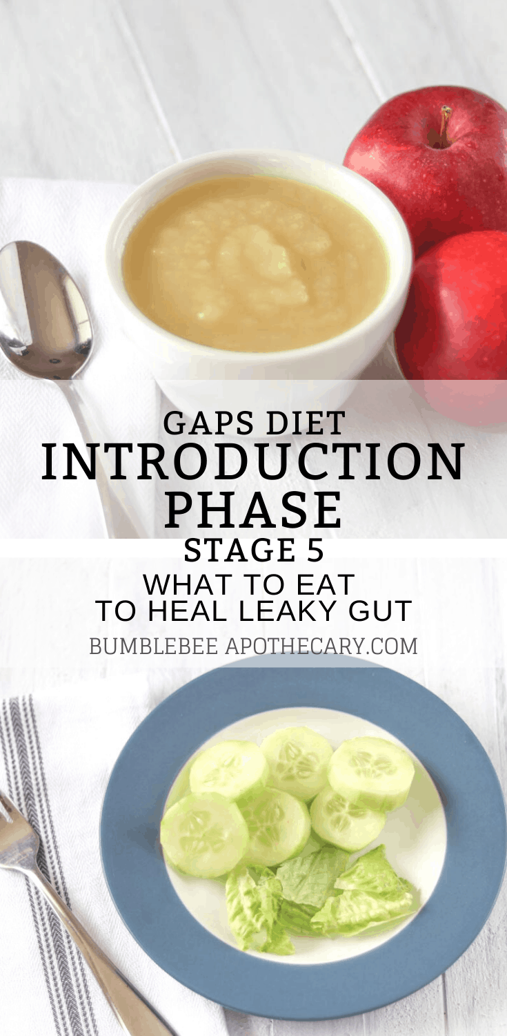 GAPS Diet Introduction Phase Stage 5 - Bumblebee Apothecary