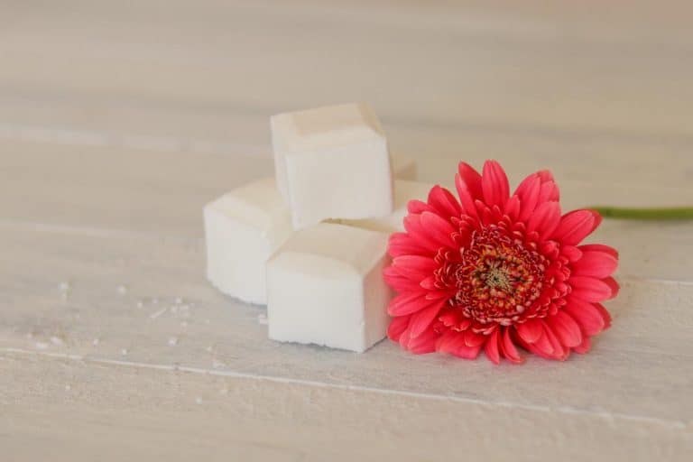 Toilet Bombs: Easy DIY Toilet Cleaner - Bumblebee Apothecary