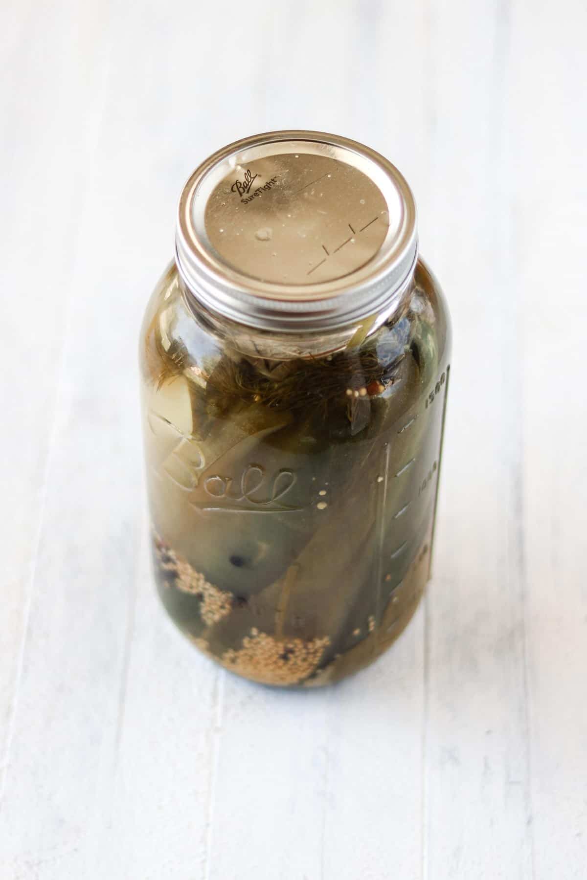 Fermented Pickles: Crisp Probiotic Pickles - Bumblebee Apothecary