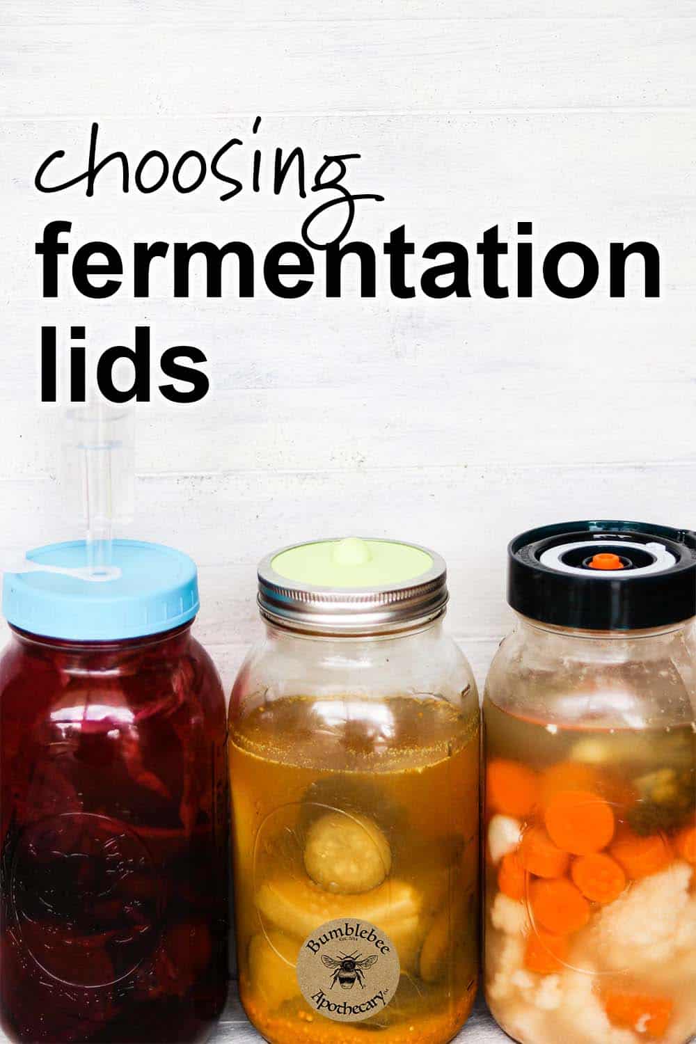Fermentation Lids: A Complete Review - Bumblebee Apothecary