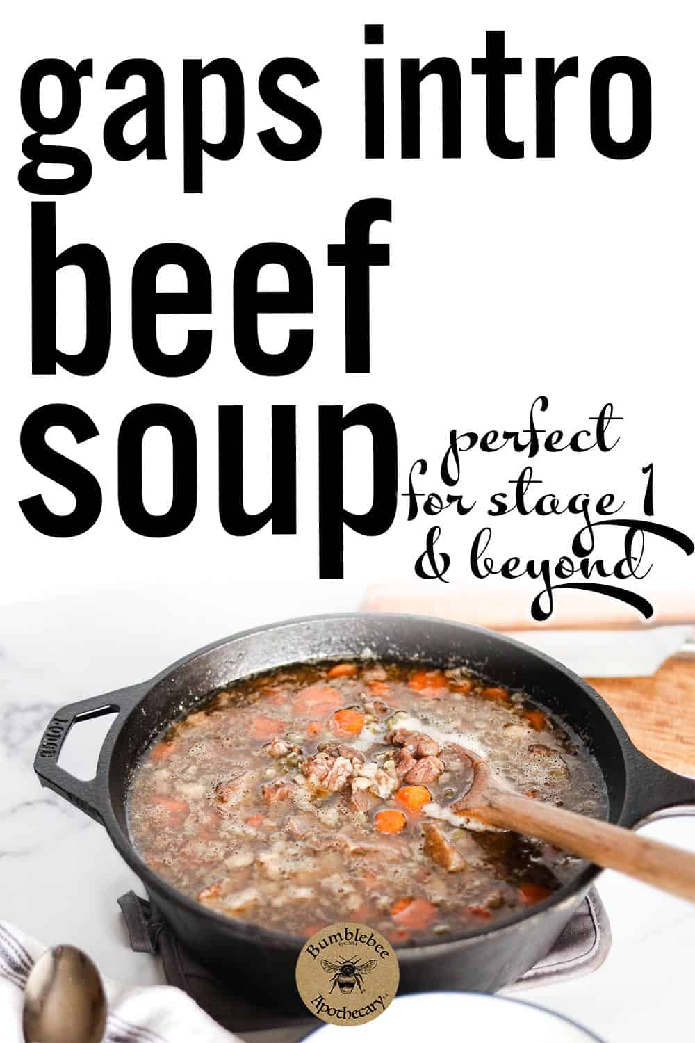 GAPS Diet Beef Soup Recipe - Bumblebee Apothecary