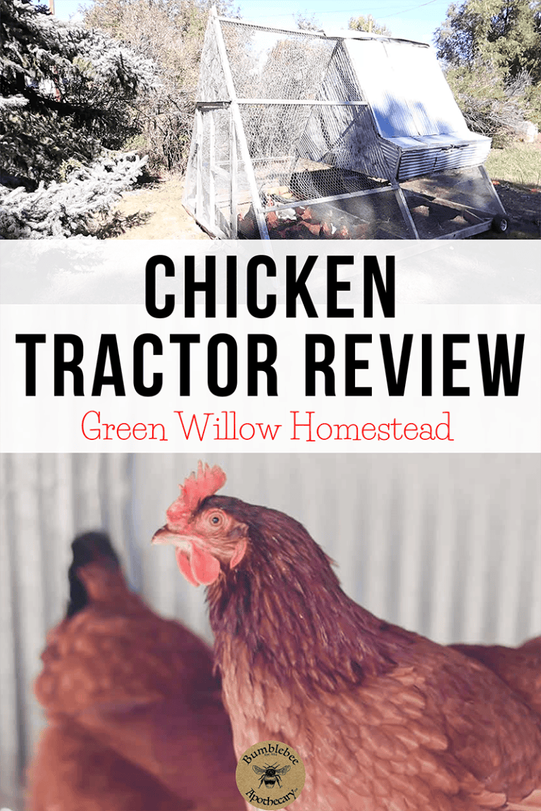 Green Willow Homestead Chicken Tractor Review - Bumblebee Apothecary