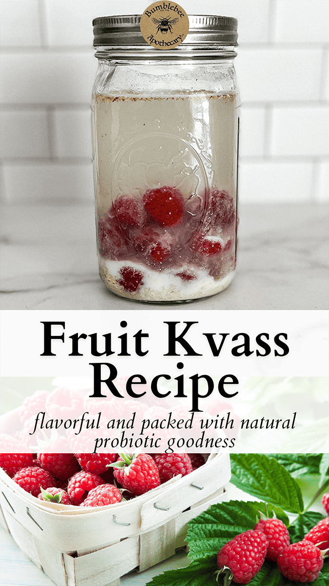Fruit Kvass Recipe - Bumblebee Apothecary