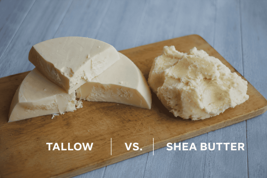 Tallow vs. Shea Butter for Skin: A Side-by-Side Comparison - Bumblebee ...